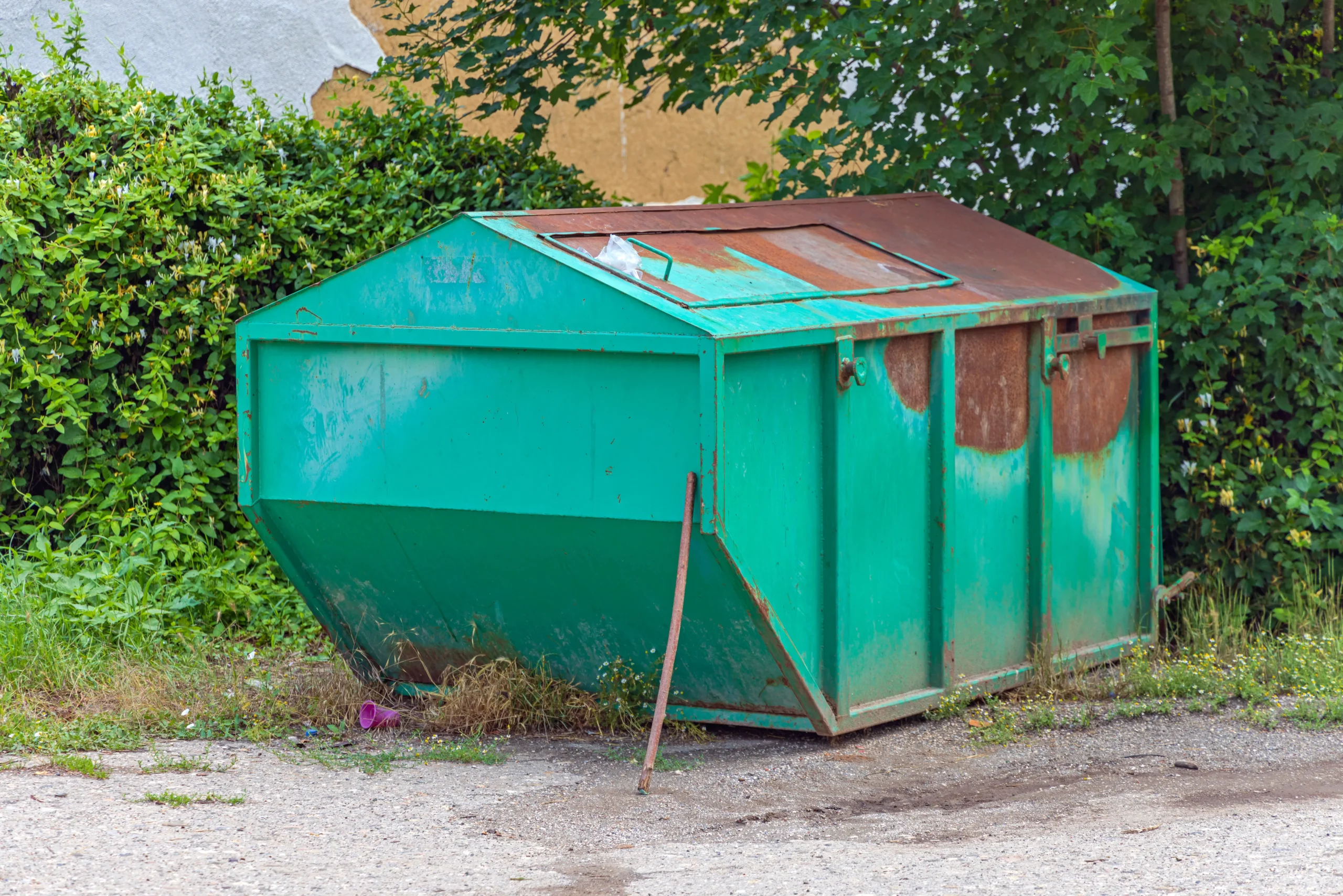 Dumpster Rental Guide: 7 Tips for Eco-Friendly Waste Disposal